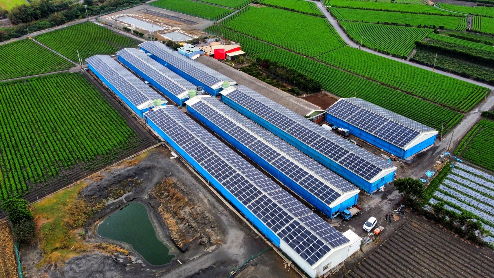 Changhua Chen Livestock Farm