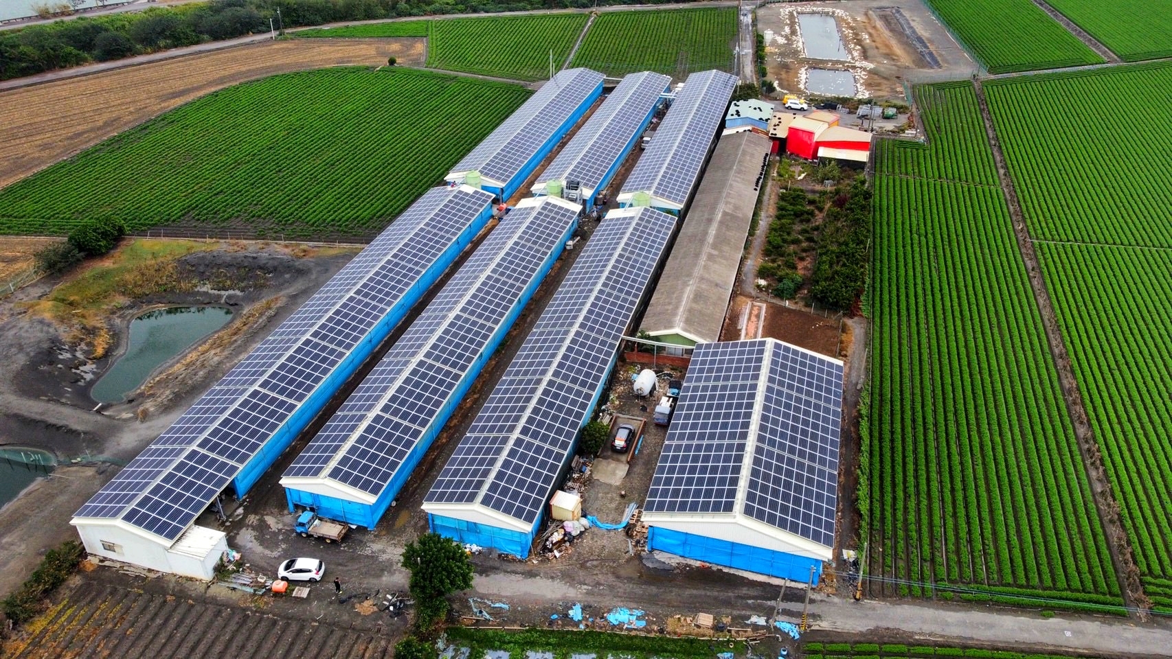Changhua Chen Livestock Farm
